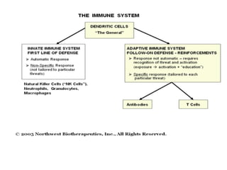 The complement system overview | PPT