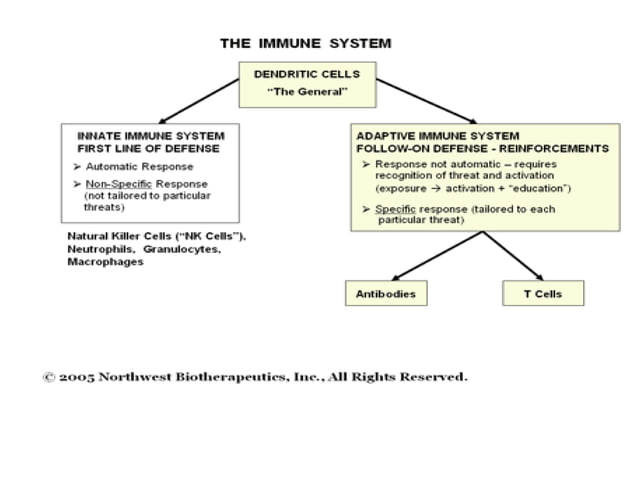 The complement system overview | PPT