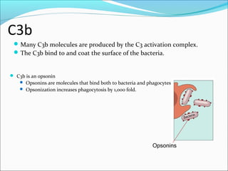 The complement system new | PPT