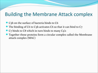 The complement system new | PPT