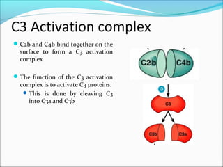 The complement system new | PPT