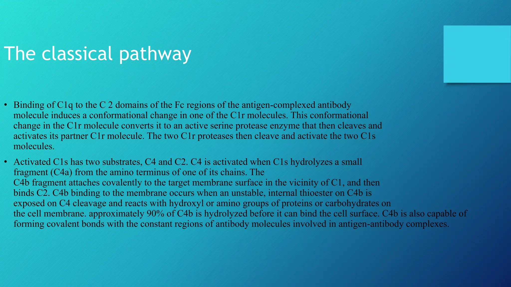 The complement system. the classical pathway of complement activation .pptx