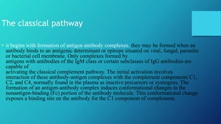 The complement system. the classical pathway of complement activation .pptx