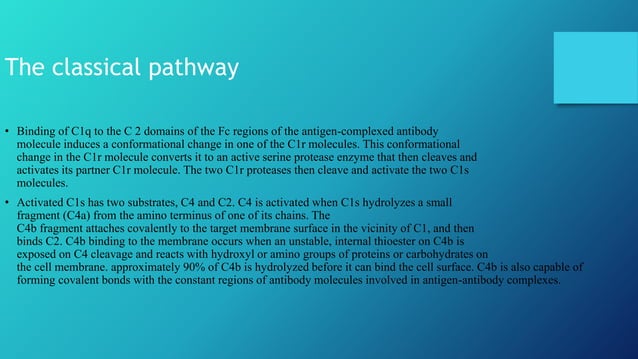 The complement system. the classical pathway of complement activation ...