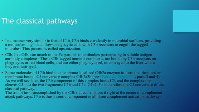 The complement system. the classical pathway of complement activation ...