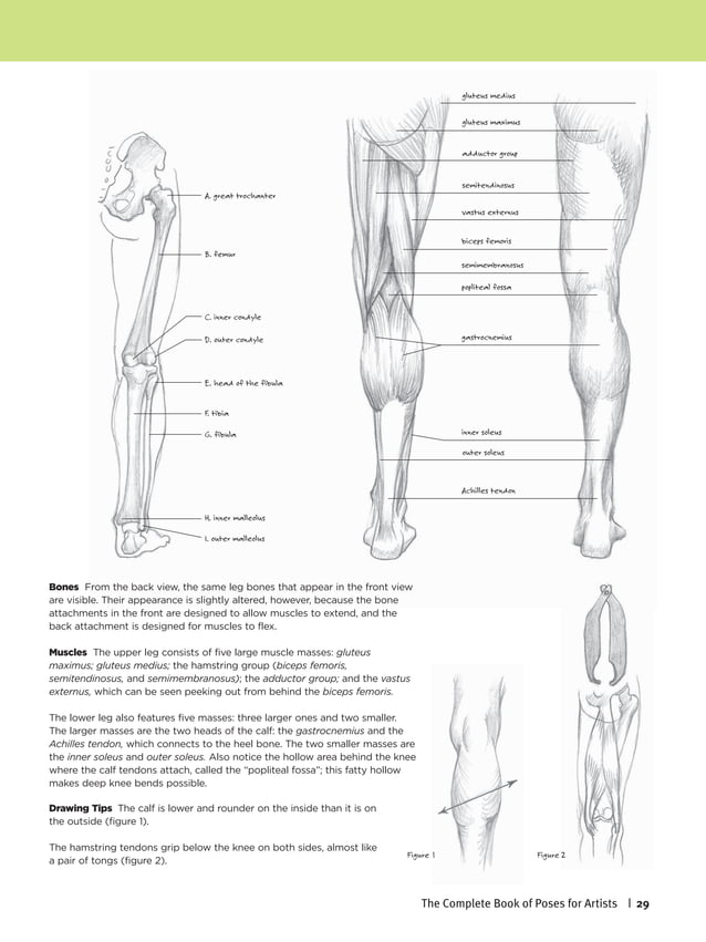 The Complete Book of Poses for Artists_ A Comprehensive Photographic ...