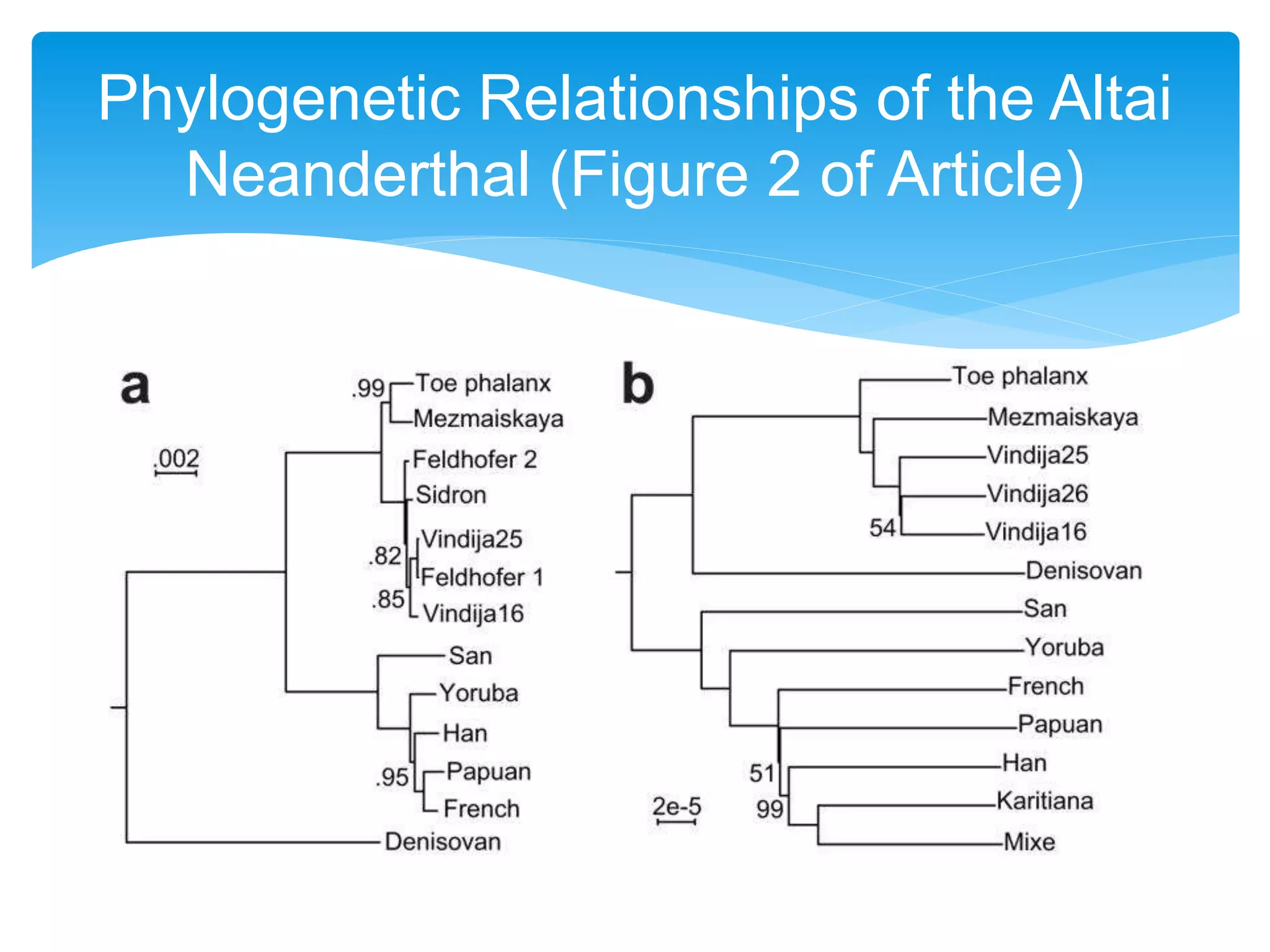 The complete genome sequence of a neanderthal article presentation | PPTX
