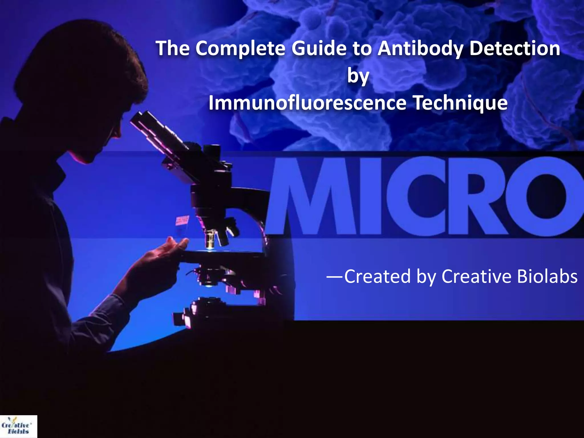 The complete guide to antibody detection by immunofluorescence technique | PPTX
