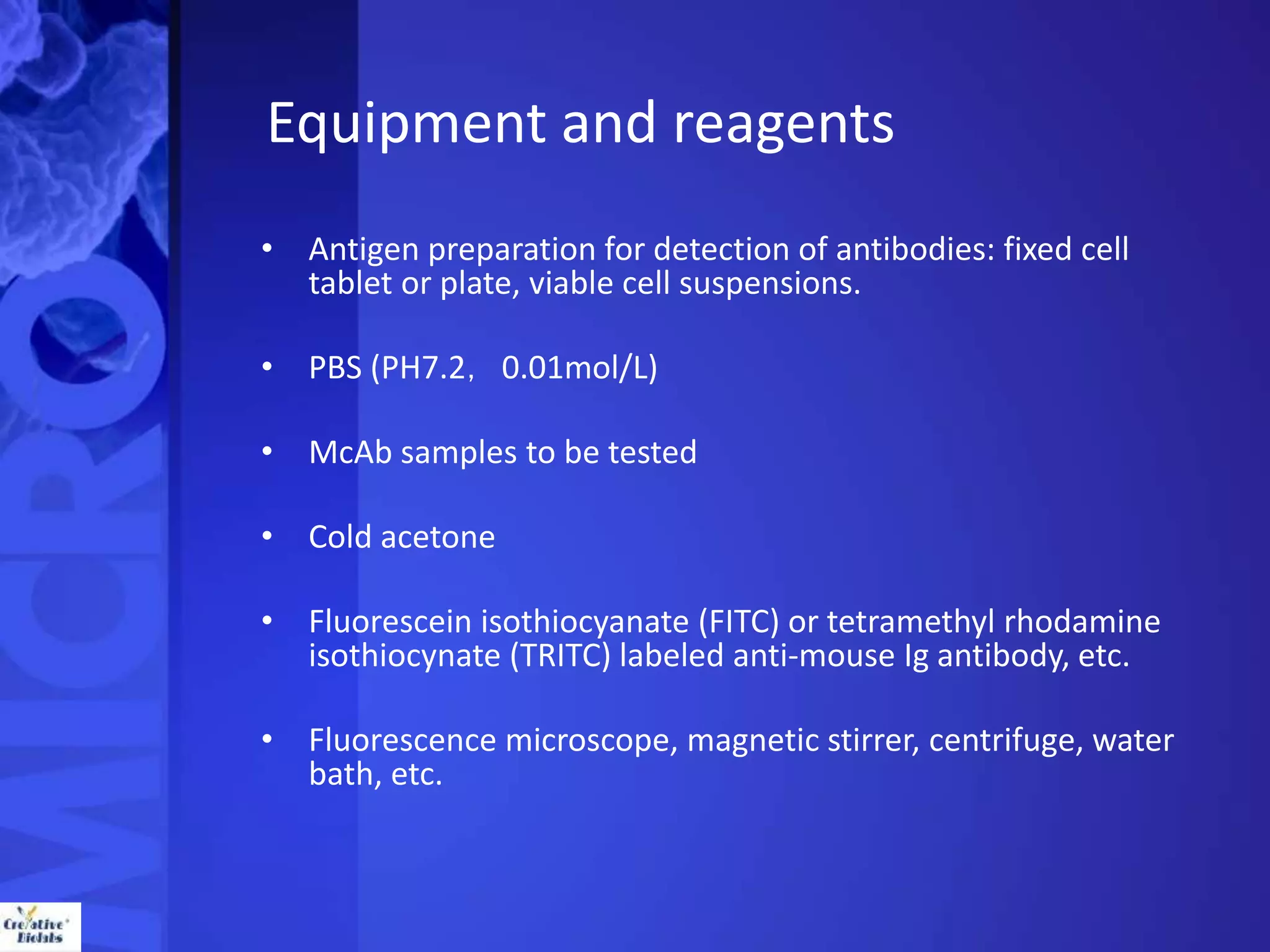 The complete guide to antibody detection by immunofluorescence ...