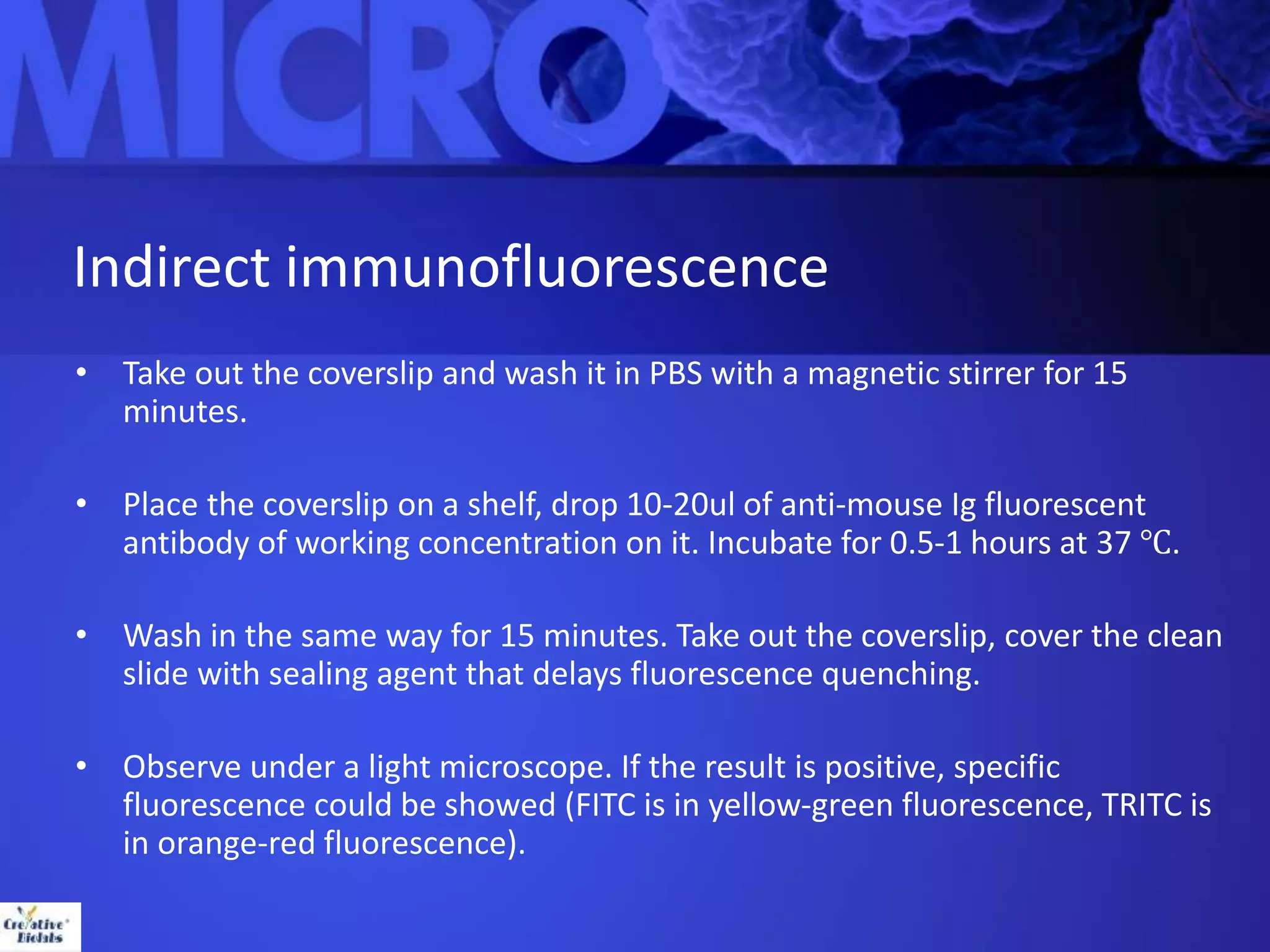 The complete guide to antibody detection by immunofluorescence technique | PPTX