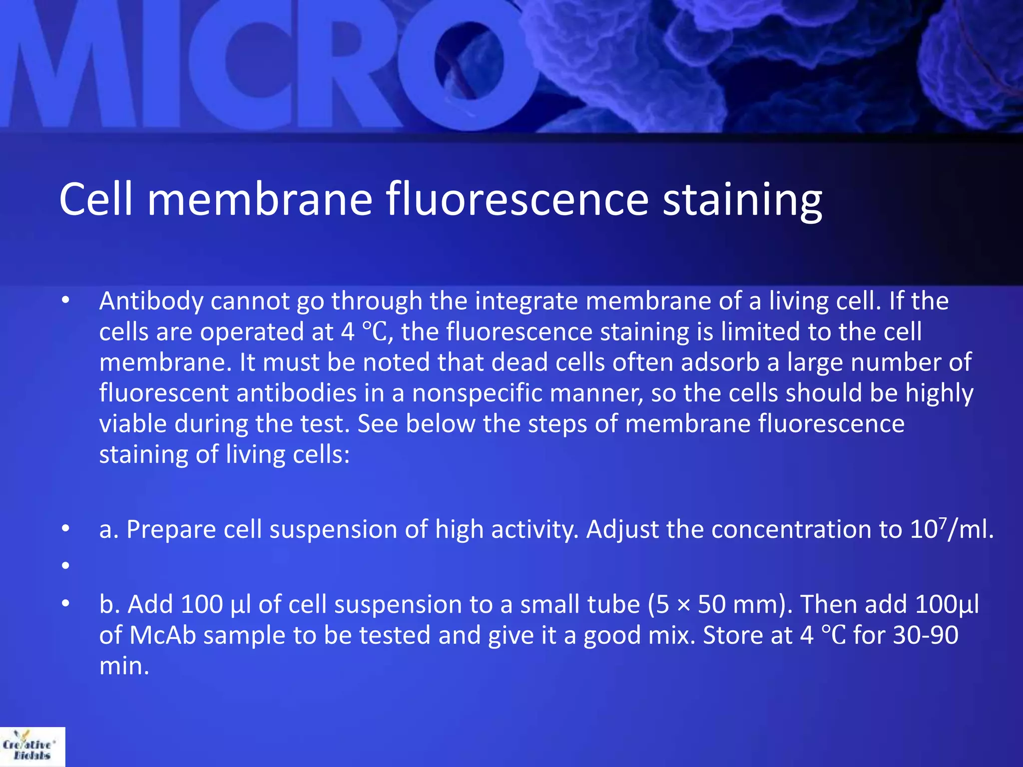 The complete guide to antibody detection by immunofluorescence ...