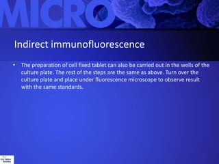 The complete guide to antibody detection by immunofluorescence ...