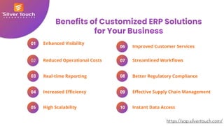 ERP Software Customization and How it Can Help Your Business | PPTX