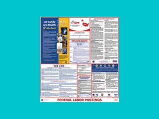 The Complete Guide To Human Resources | PDF | Human Resources | Business