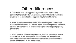 Endothelial cells | PPT