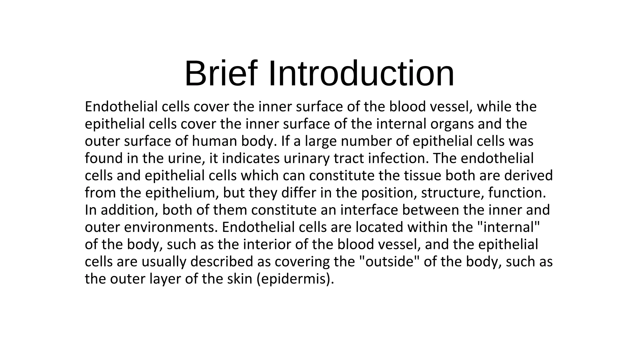 Epithelial cells | PPT | Heart and Cardiovascular Diseases | Diseases and Conditions