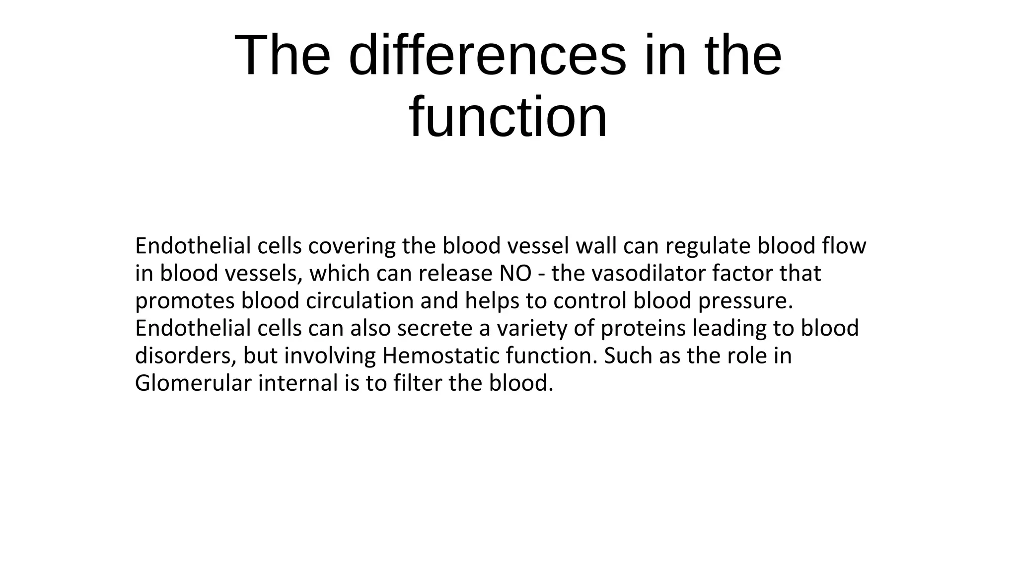 Epithelial cells | PPT | Heart and Cardiovascular Diseases | Diseases and Conditions
