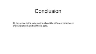 Epithelial cells | PPT | Heart and Cardiovascular Diseases | Diseases ...