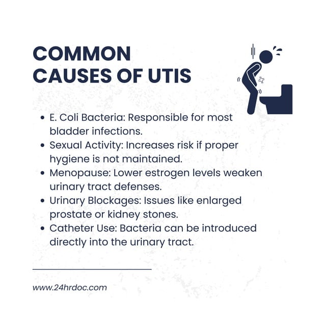 The Complete Guide to Online UTI Treatment Carousel | PDF | Infectious ...