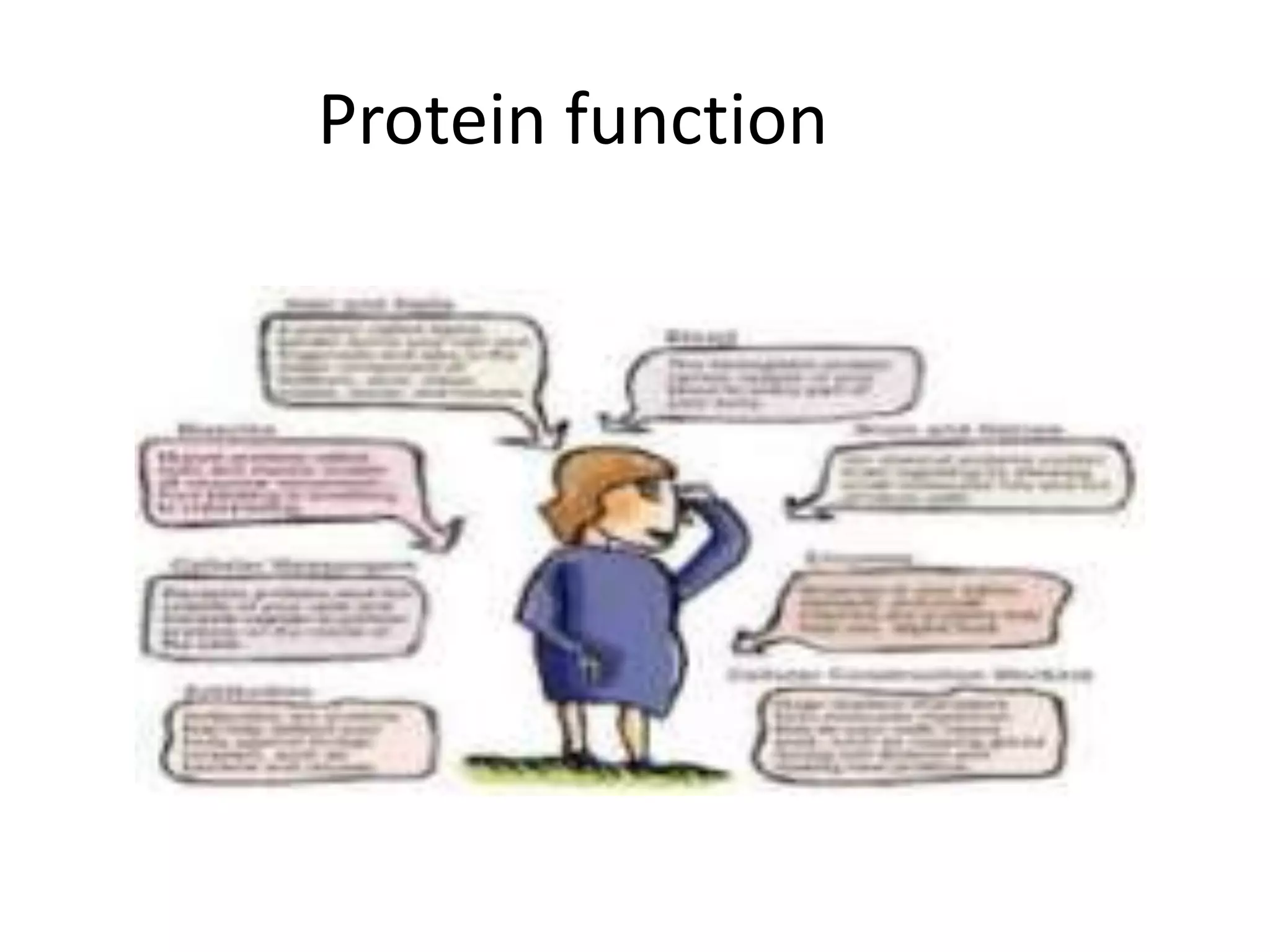 The complete guide to protein identification | PPT
