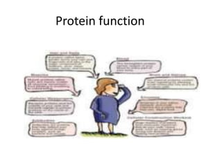 The complete guide to protein identification | PPTX