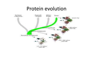 The complete guide to protein identification | PPT