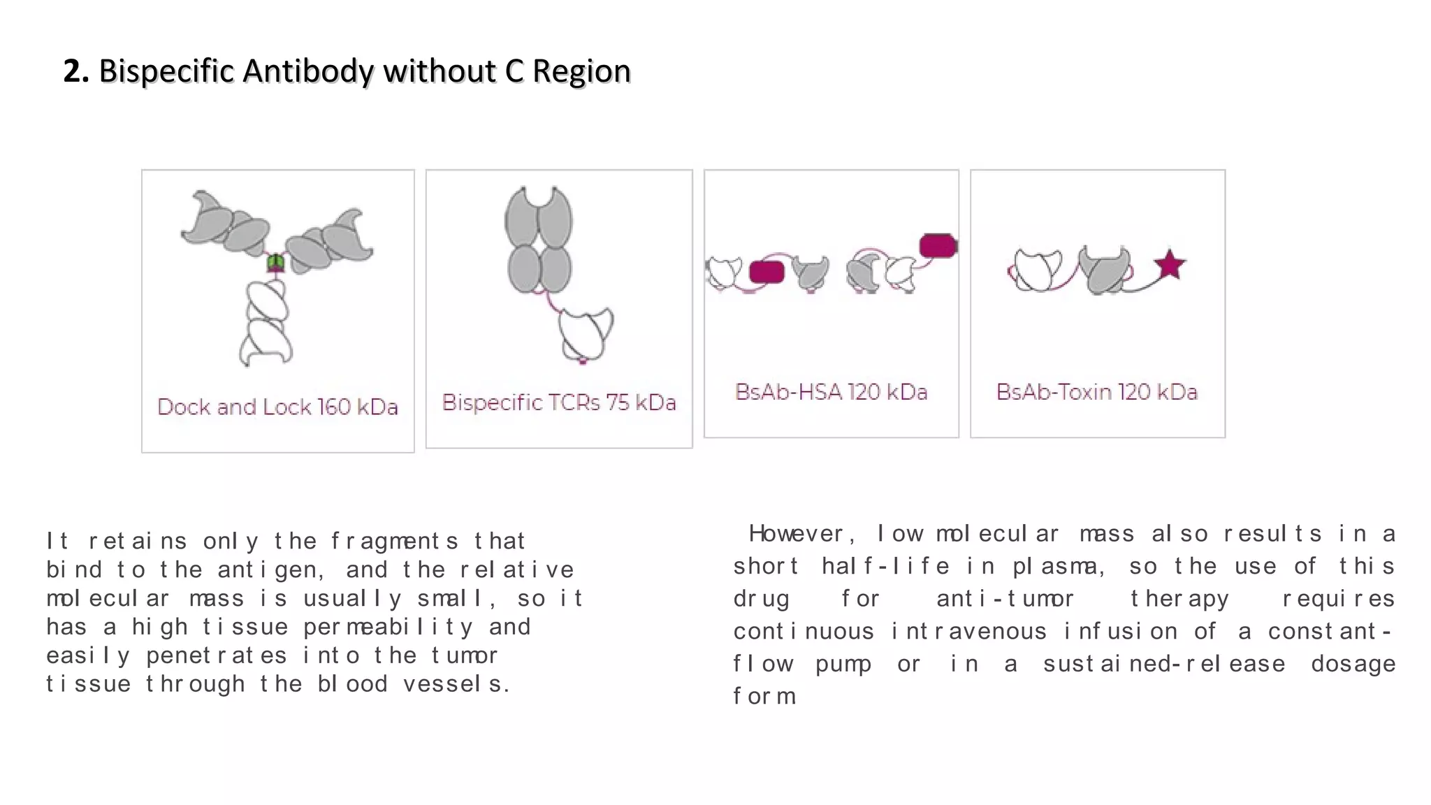 The complete guide to the structure of bispecific antibodies | PPT