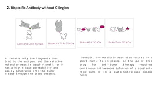 The complete guide to the structure of bispecific antibodies | PPT