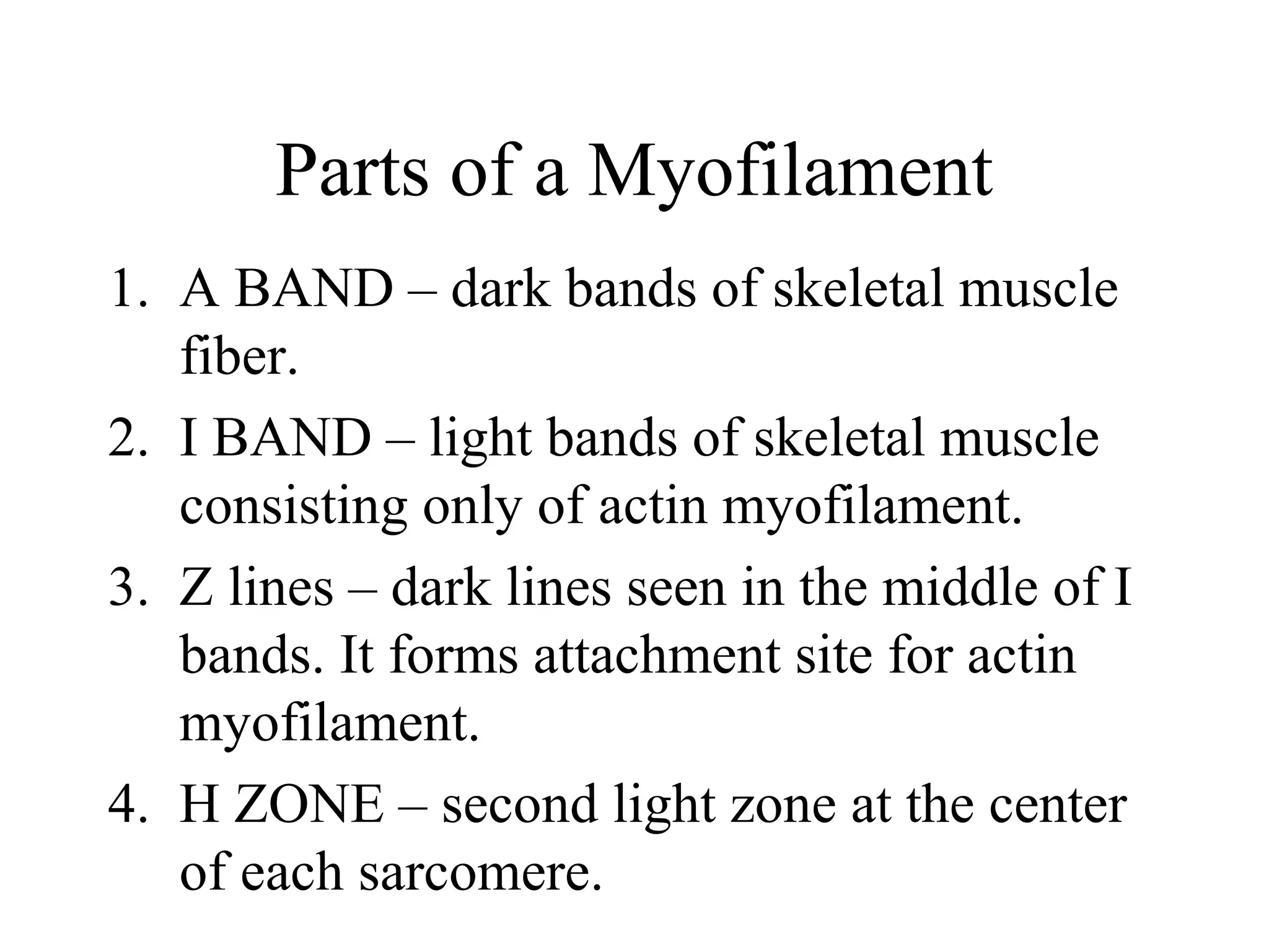 The completemuscular system | PPT