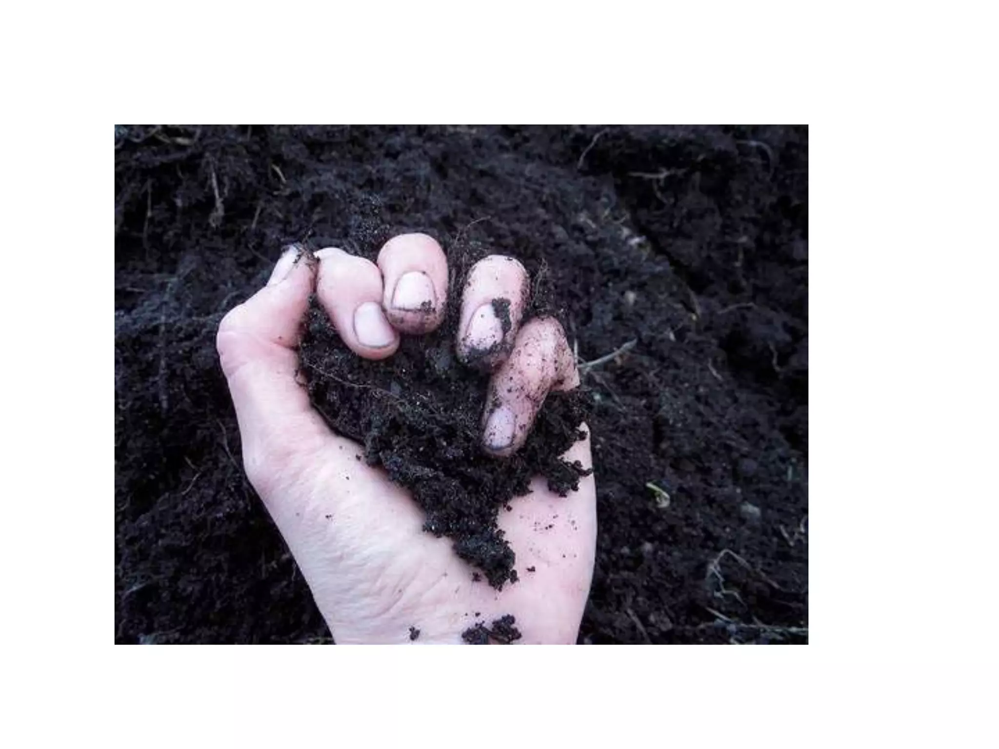 Soil science for teachers (massive-the real dirt on soil) | PPTX ...