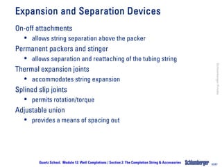 The Completion String & Accessories.pdf
