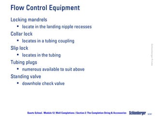 The Completion String & Accessories.pdf