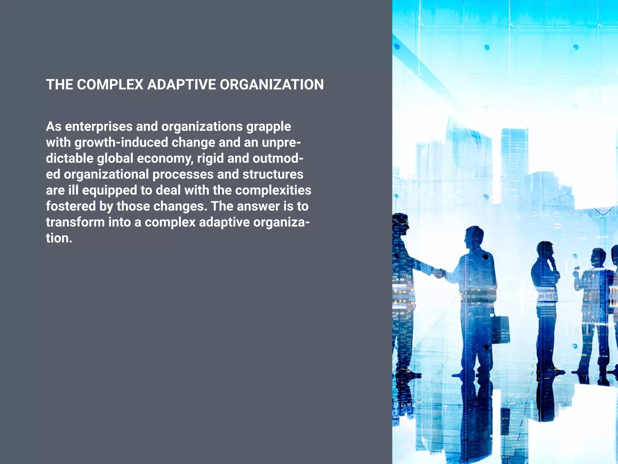 The Complex Adaptive Organization | PDF