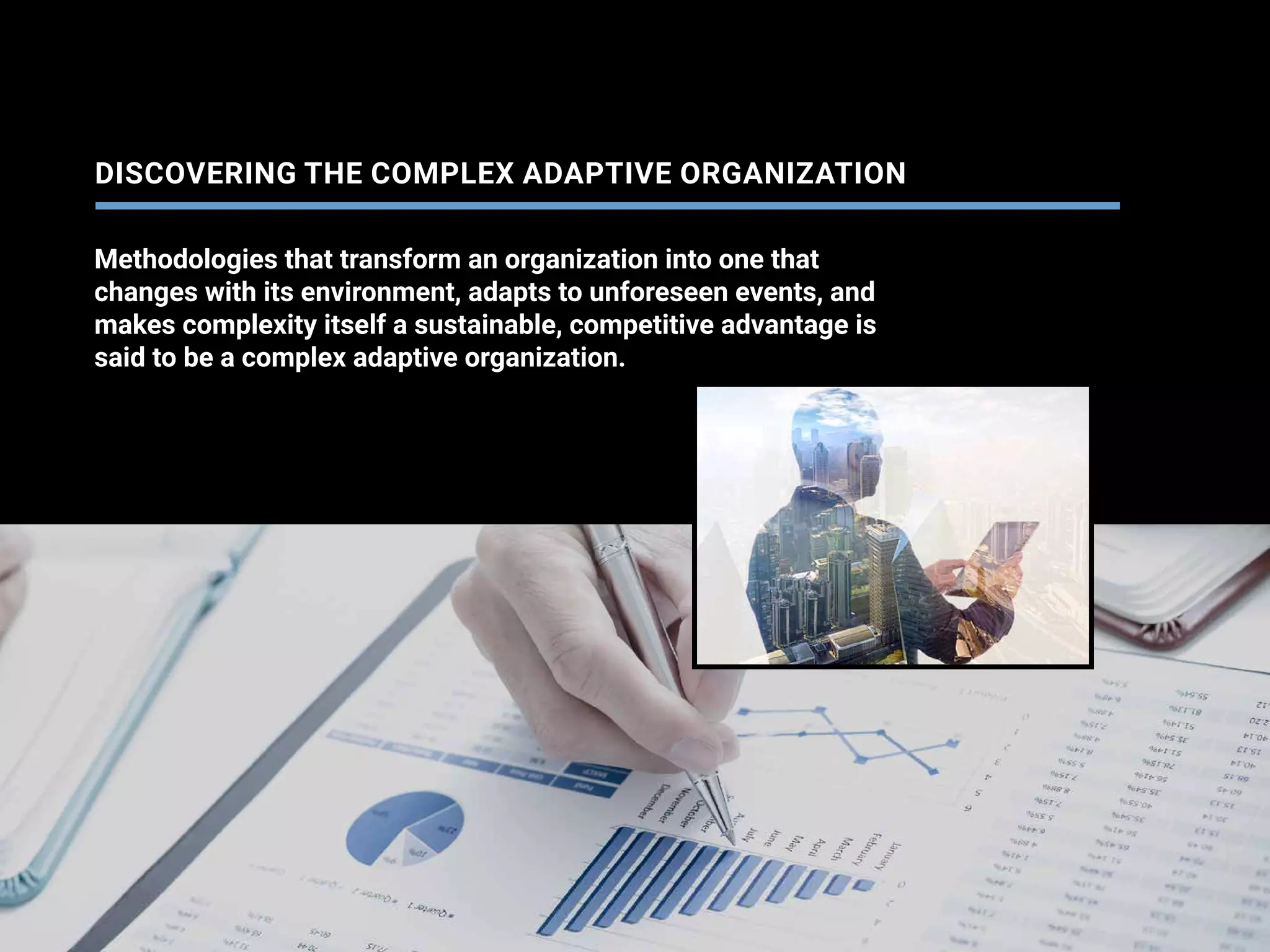 The Complex Adaptive Organization | PDF
