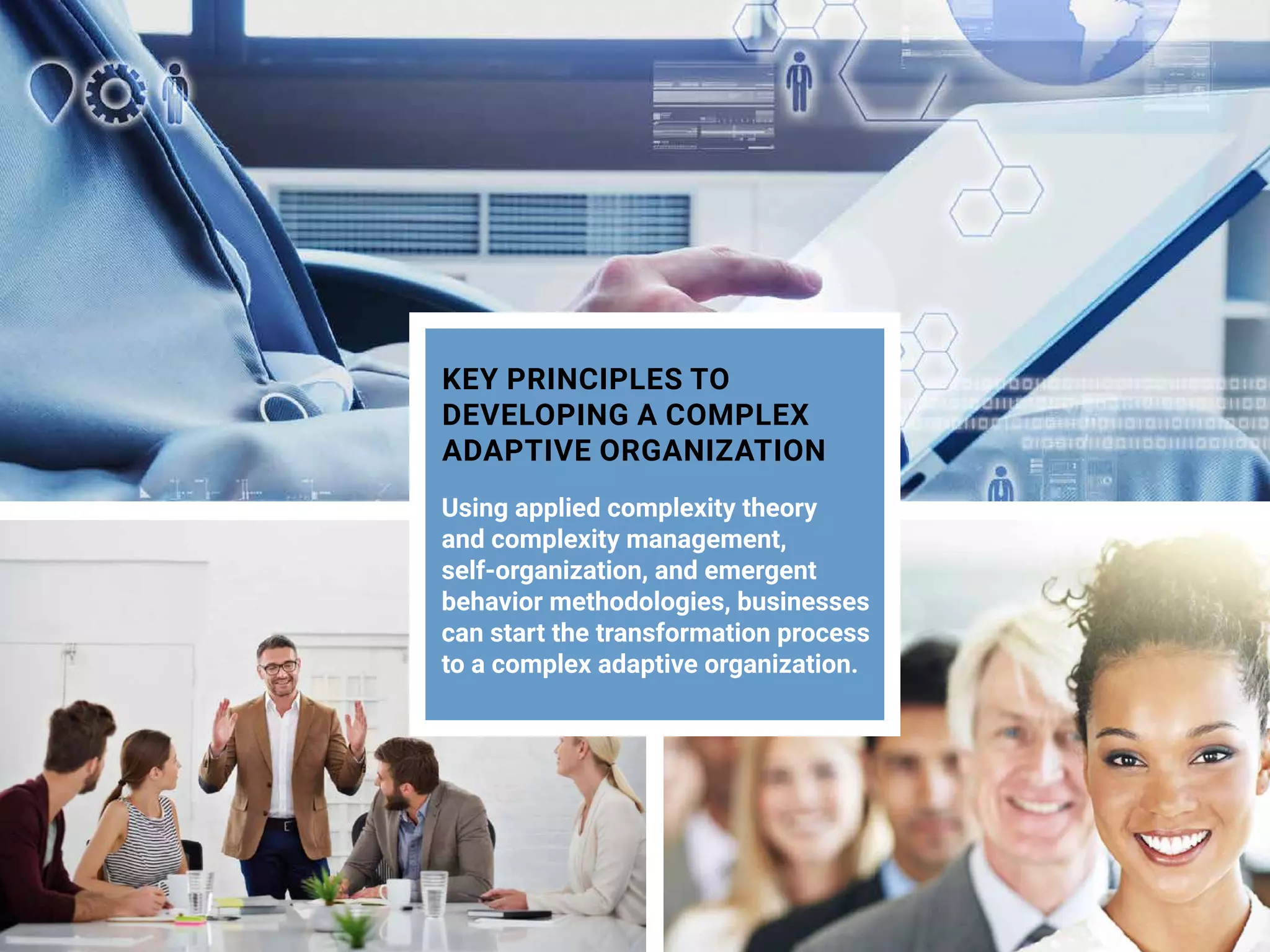 The Complex Adaptive Organization | PDF