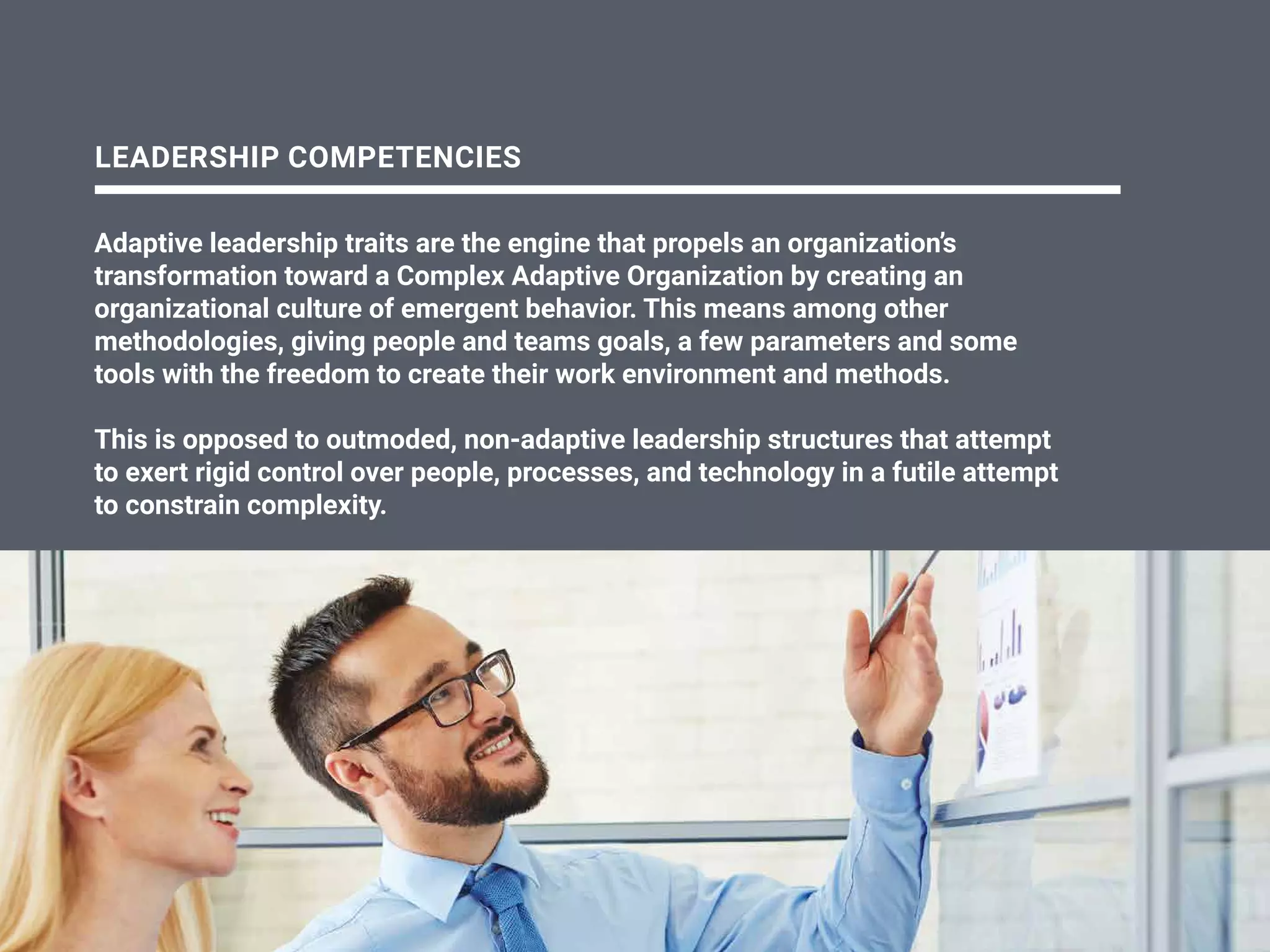 The Complex Adaptive Organization | PDF