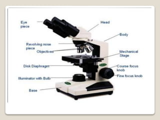 The components of a microscope | PPTX