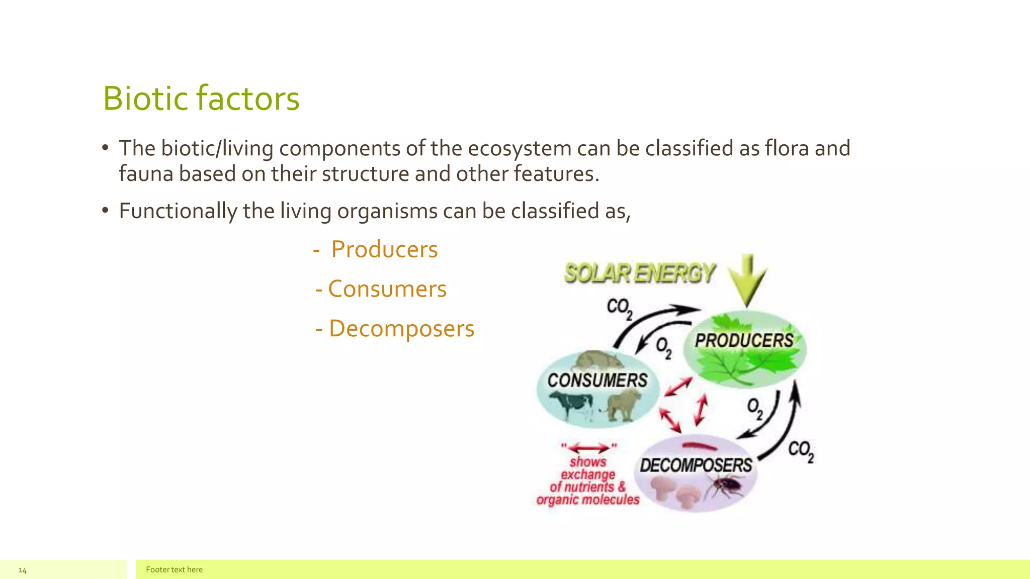 The components of an ecosystem | PPTX