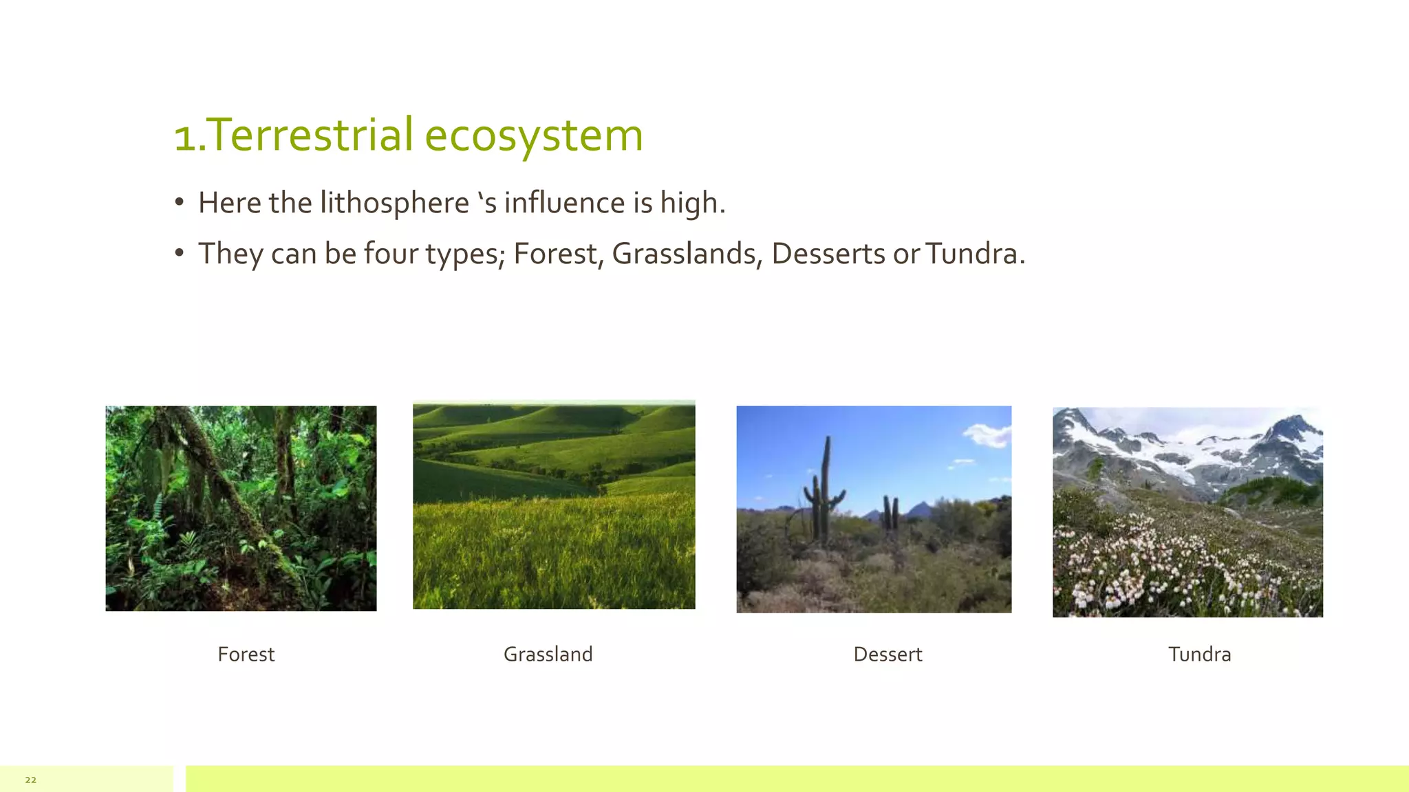 The components of an ecosystem | PPTX