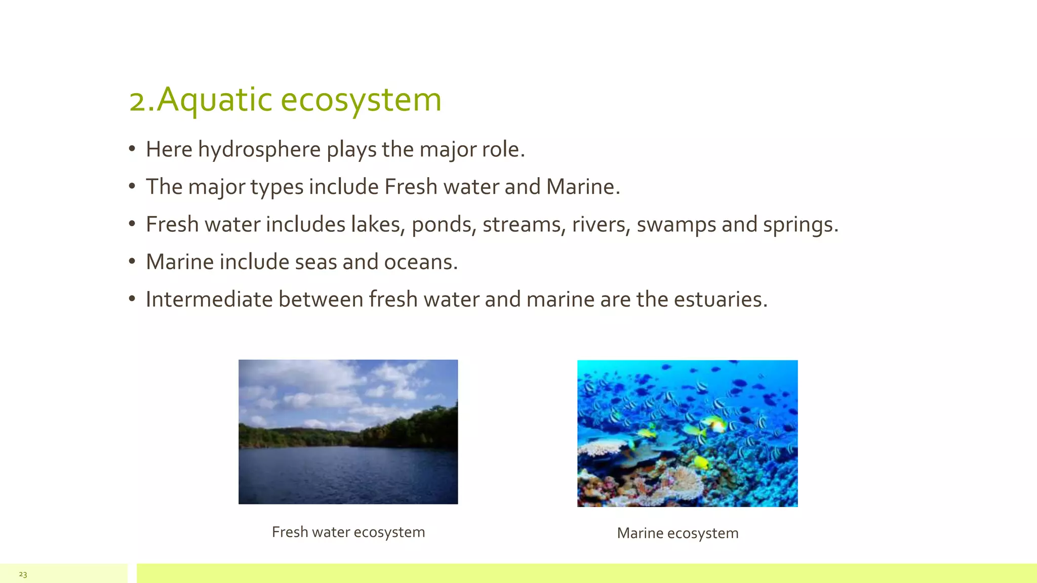 The components of an ecosystem | PPTX