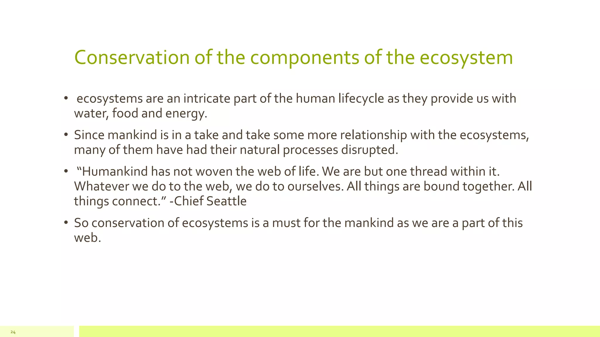 The components of an ecosystem | PPTX