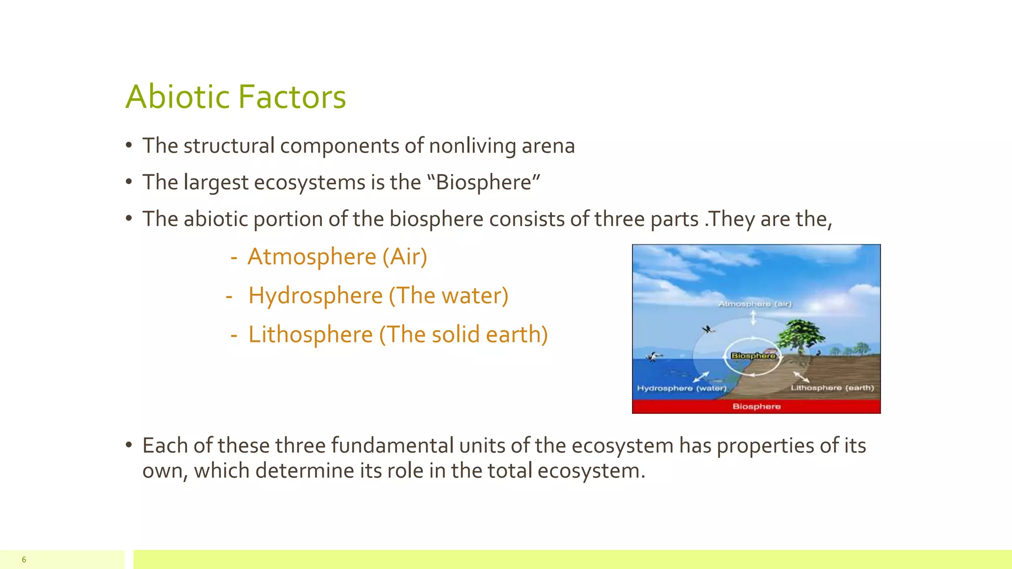 The components of an ecosystem | PPTX