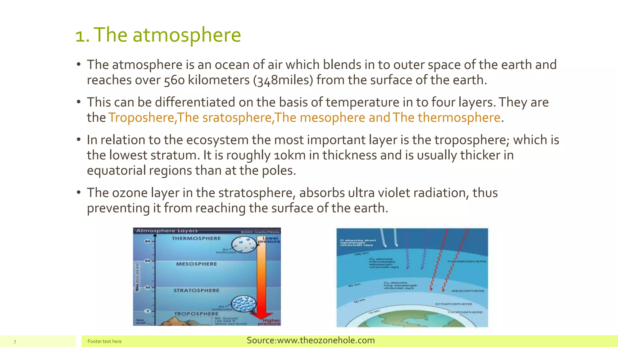 The components of an ecosystem | PPTX