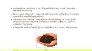 The components of an ecosystem | PPTX