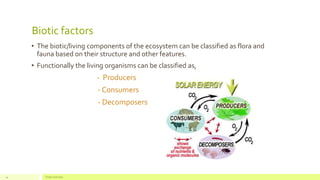 The components of an ecosystem | PPTX