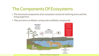 The components of an ecosystem | PPTX