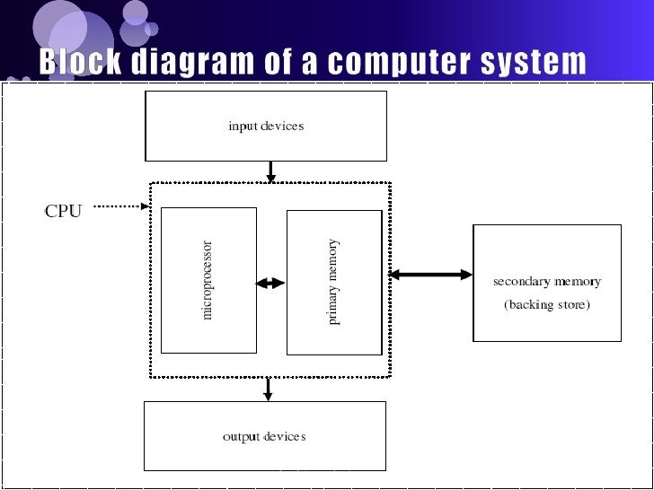 The components of an information system