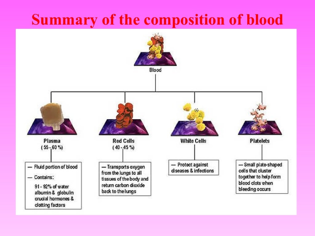 The components of the Blood