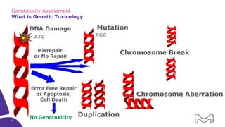 The Comprehensive Guide to Genotoxicity Assessment | PDF