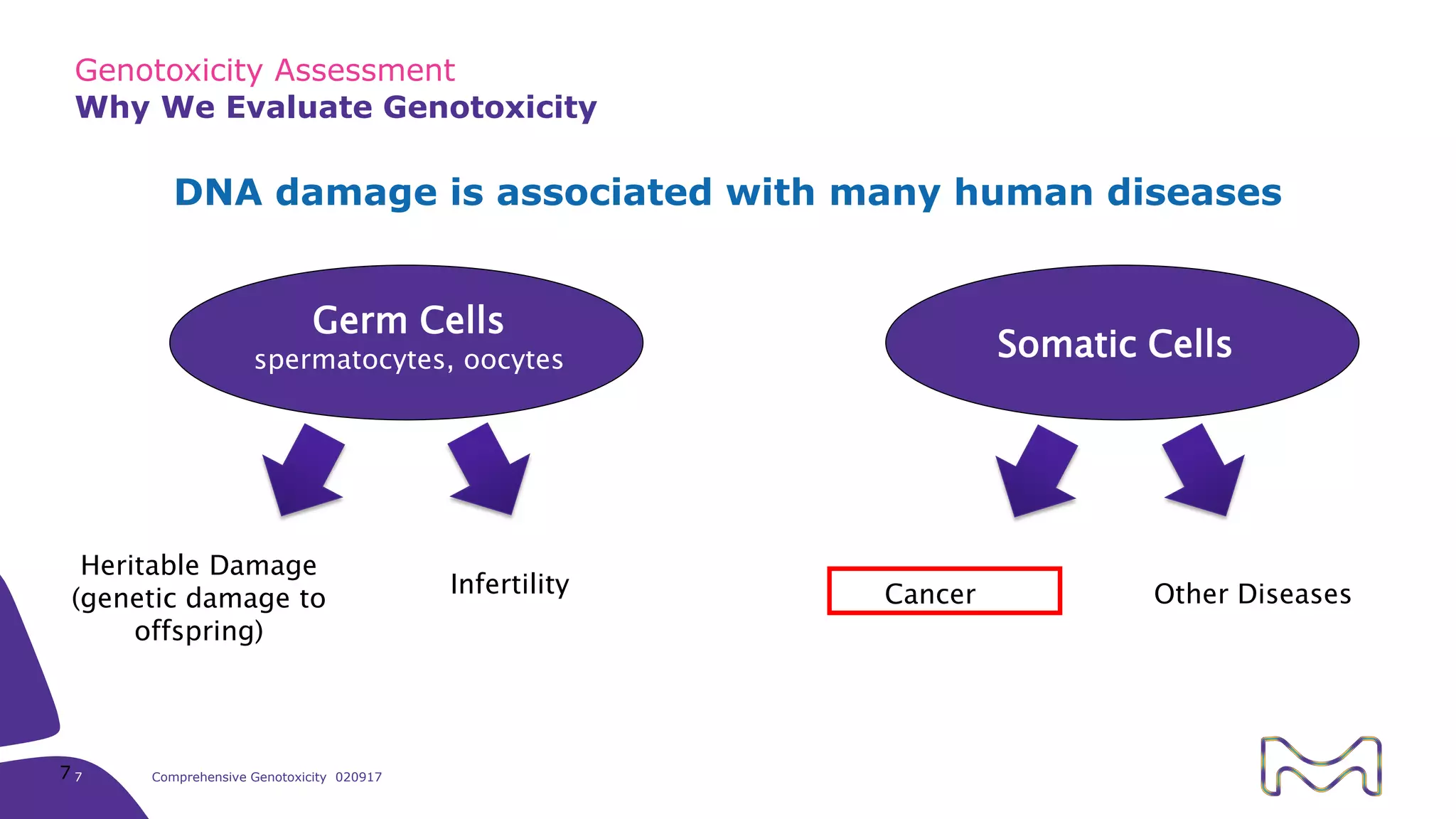 The Comprehensive Guide to Genotoxicity Assessment | PDF